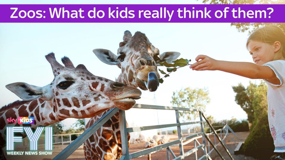 Sky Kids FYI Homepage - First News Live!