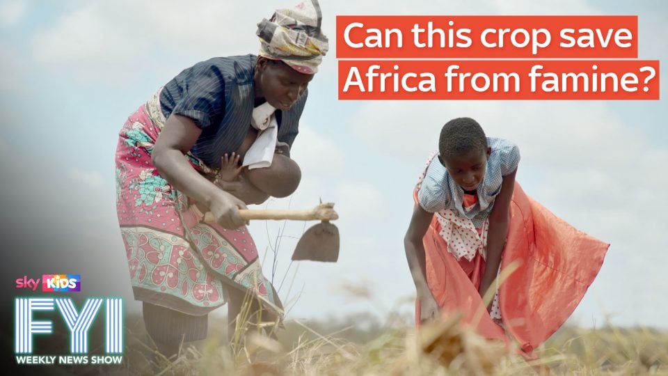 Sky Kids FYI Homepage - First News Live!