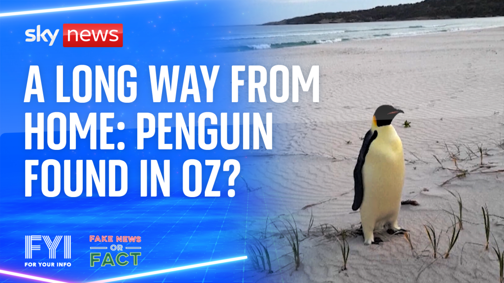 S2 E24: Fake News or Fact (00:47) - First News Live!