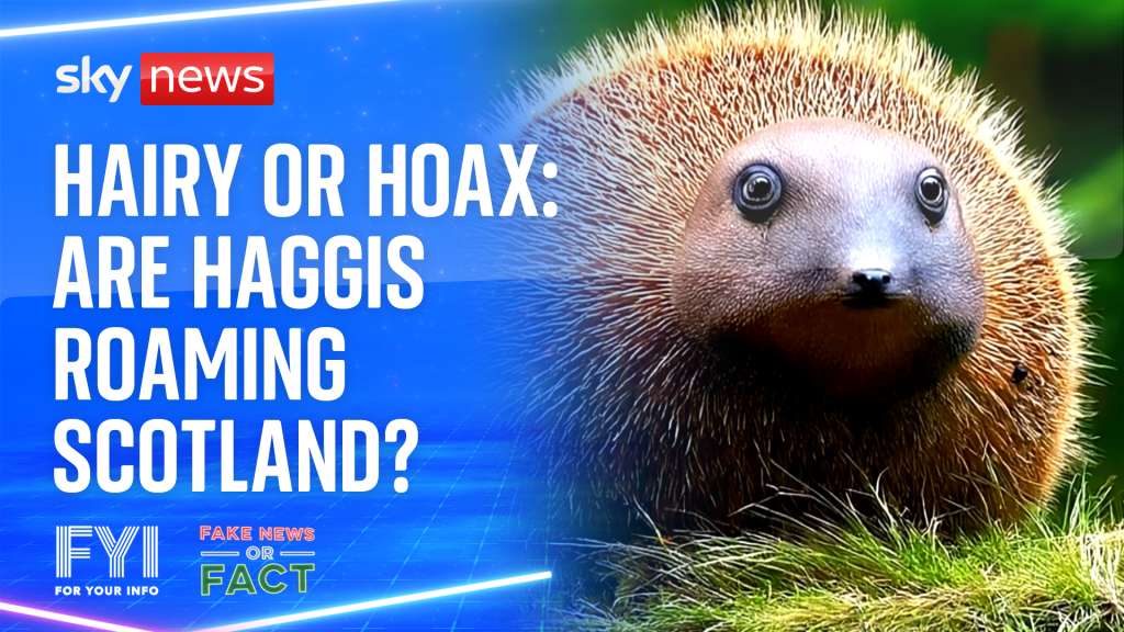 S2 E26: Fake News or Fact (00:44) - First News Live!