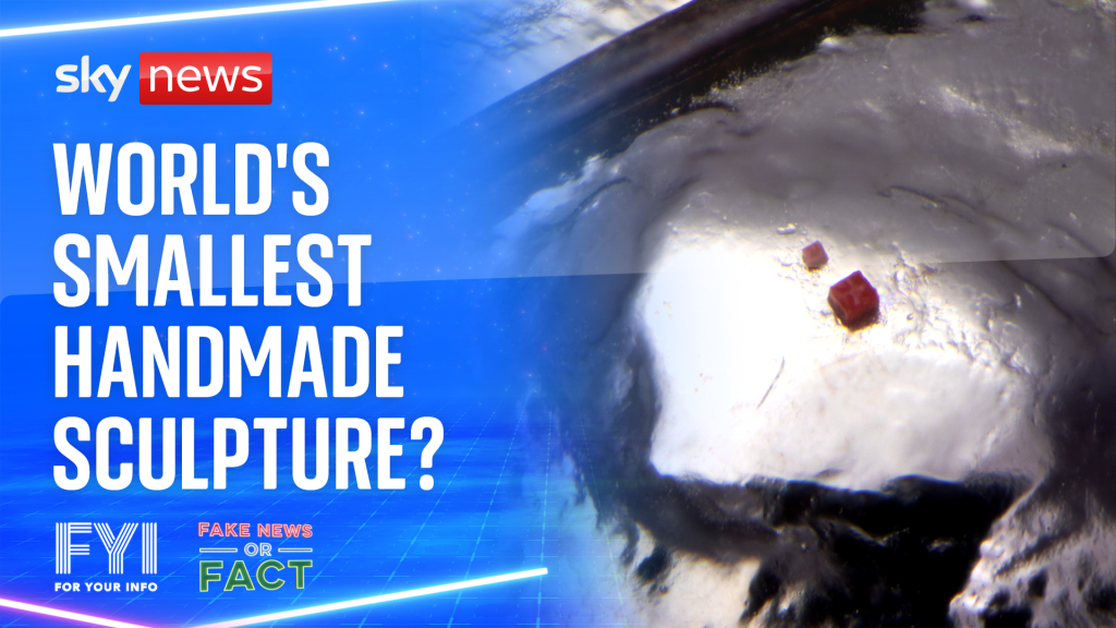 S2 E35: Fake News or Fact (00:51) - First News Live!