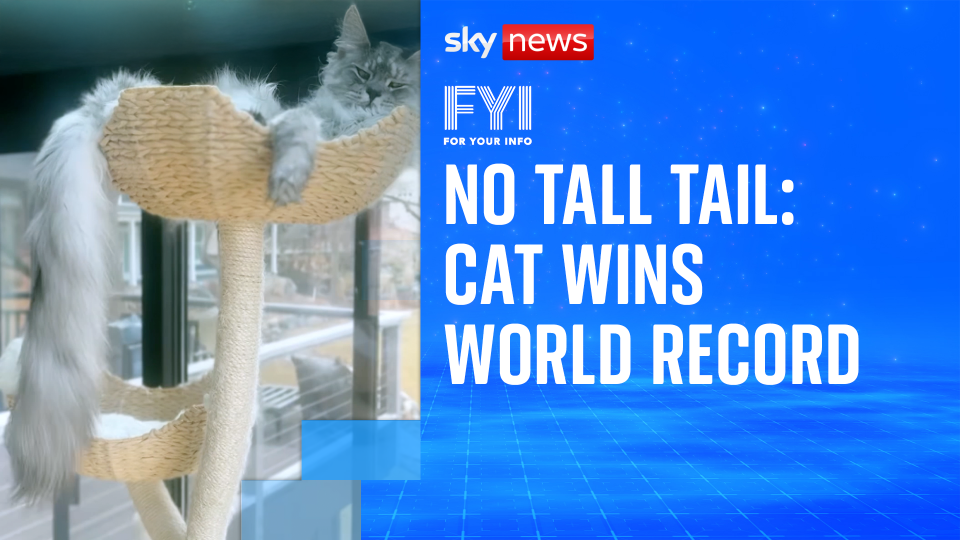 Quick News - First News Live!