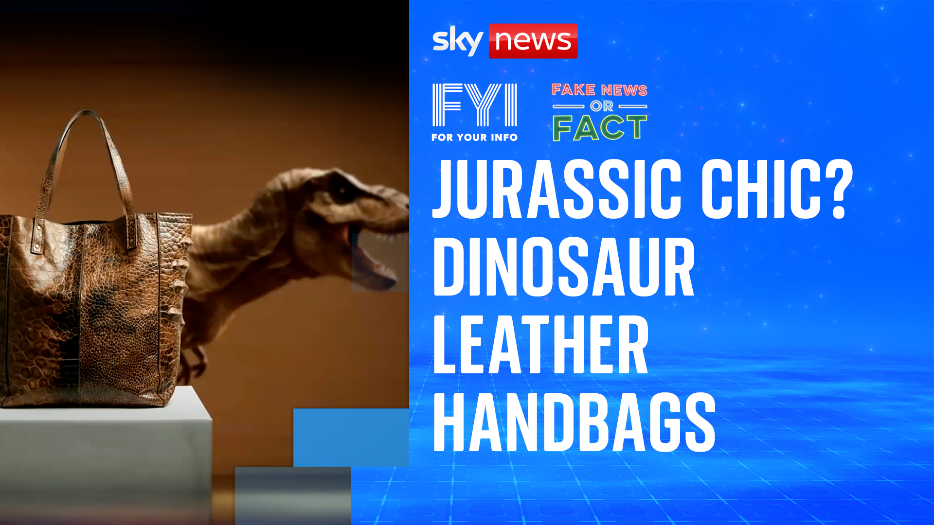 S3 E2: Fake News or Fact (00:59) - First News Live!